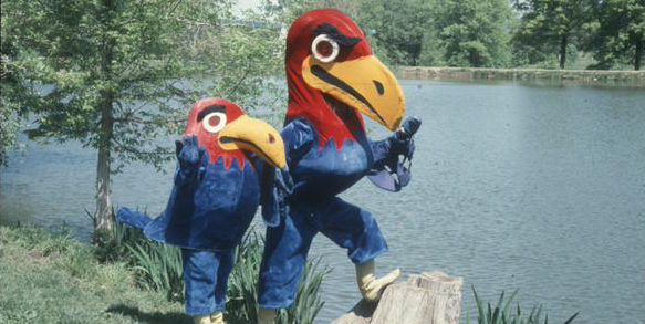 KU Libraries - Digital Collections | KU Libraries Digital Collections